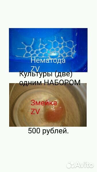 Культуры двух видов (два в одном)