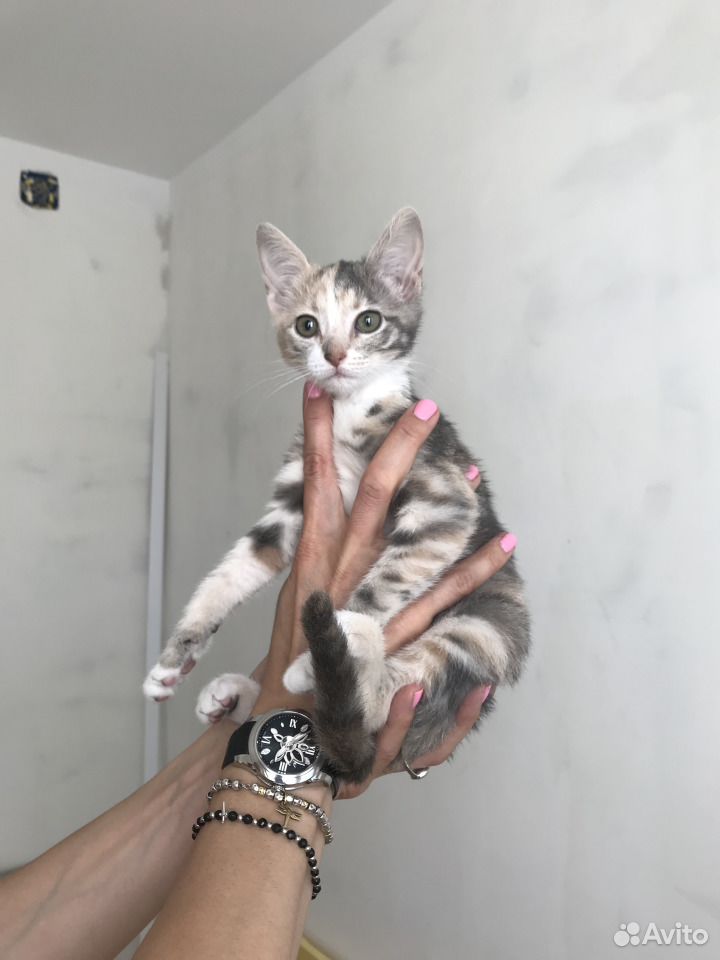 Подарите Половинке дом