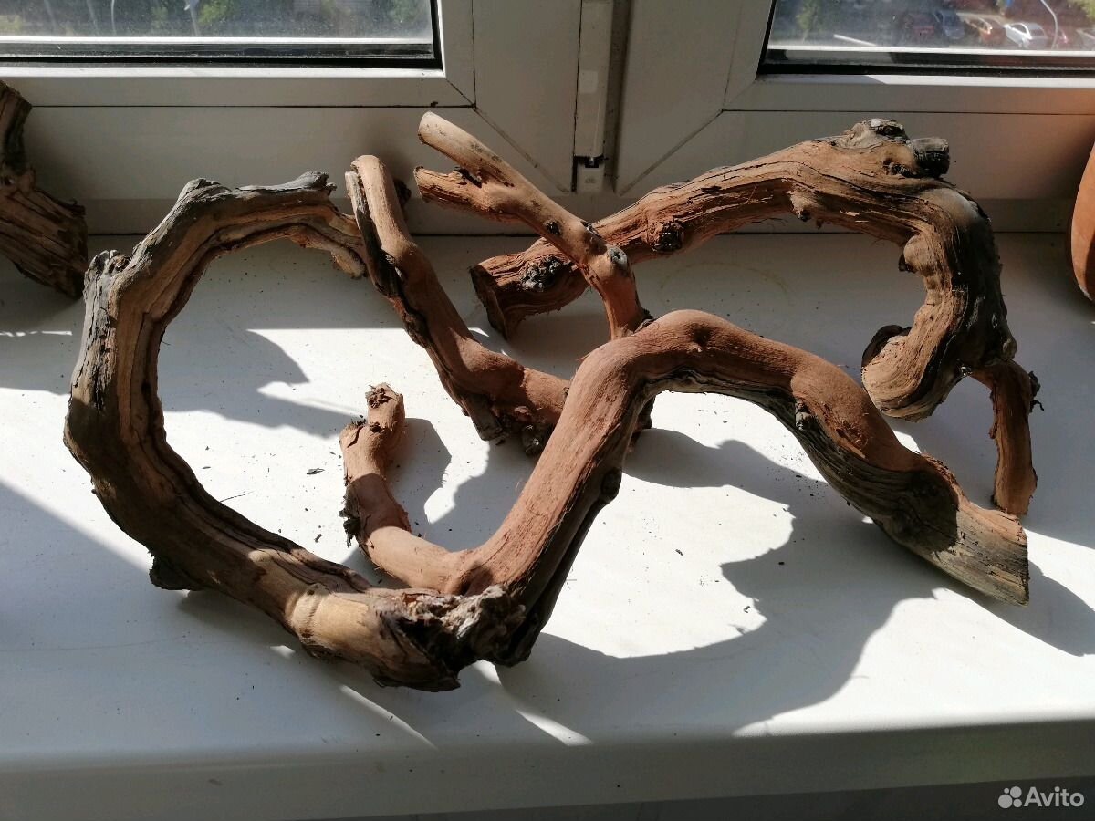 Коряги, грунт, камни