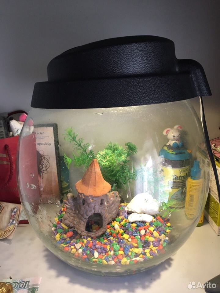 Аквариум