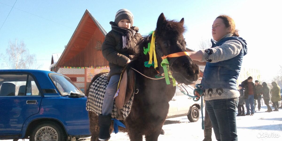 Продаю пони