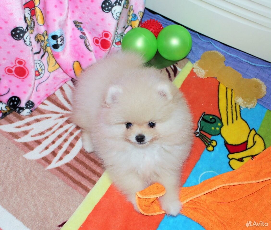 Нежное облачко анита)