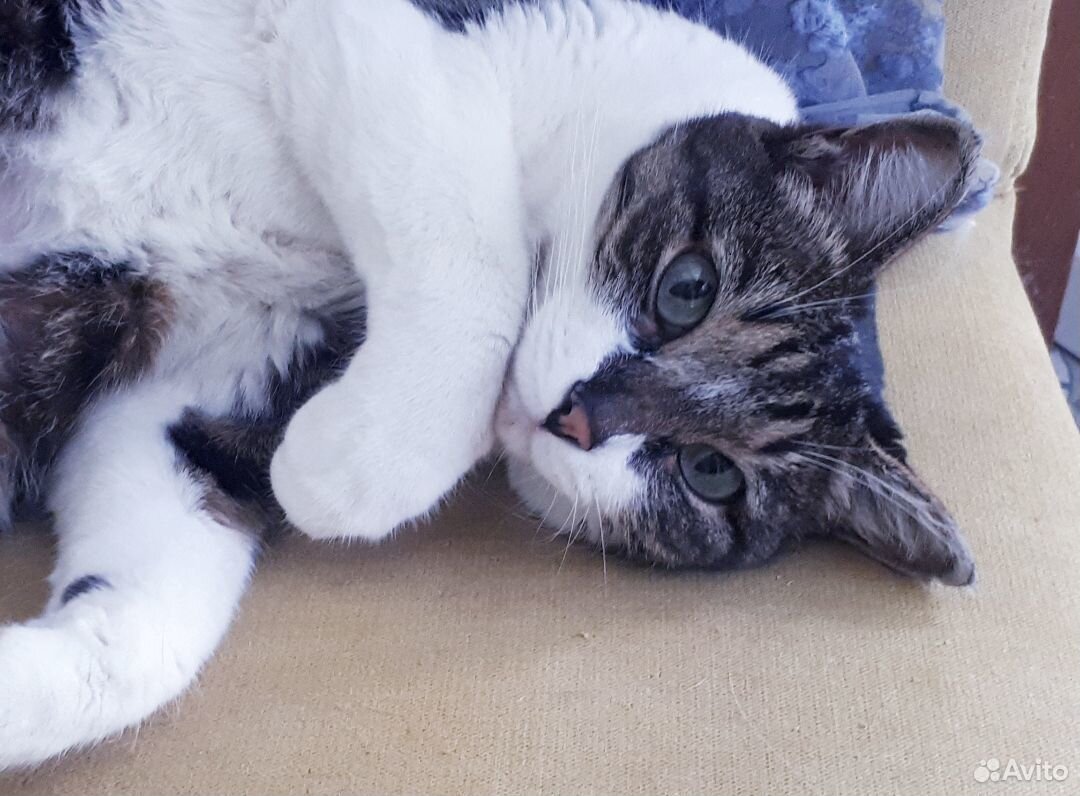 Марфа Васильевна