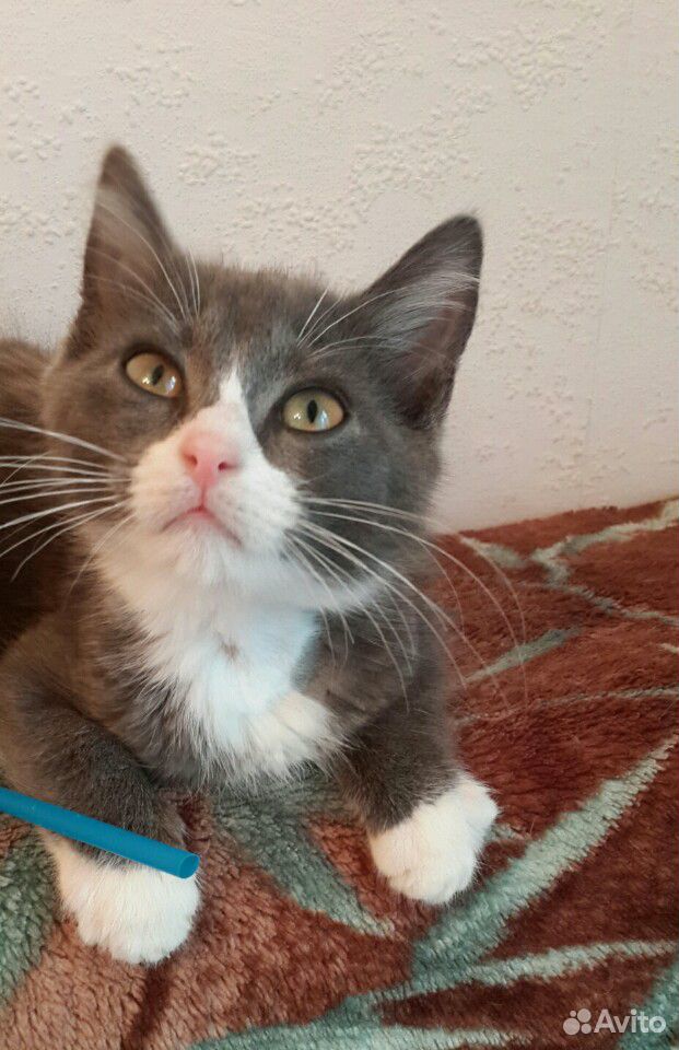 Чудо девочка Ася