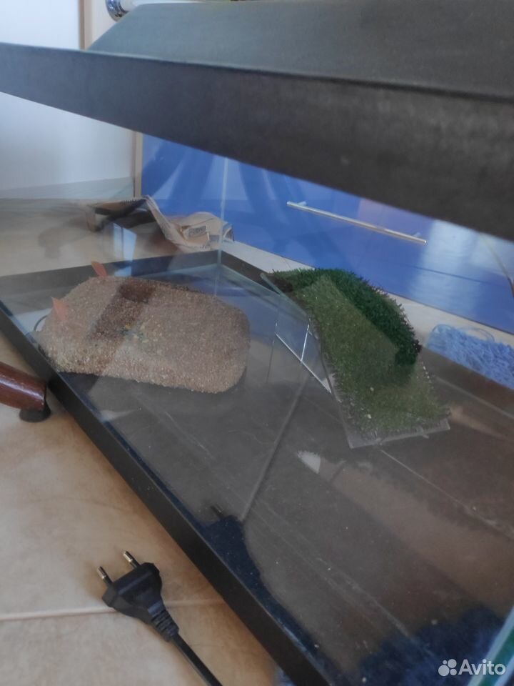 Аквариум - террариум