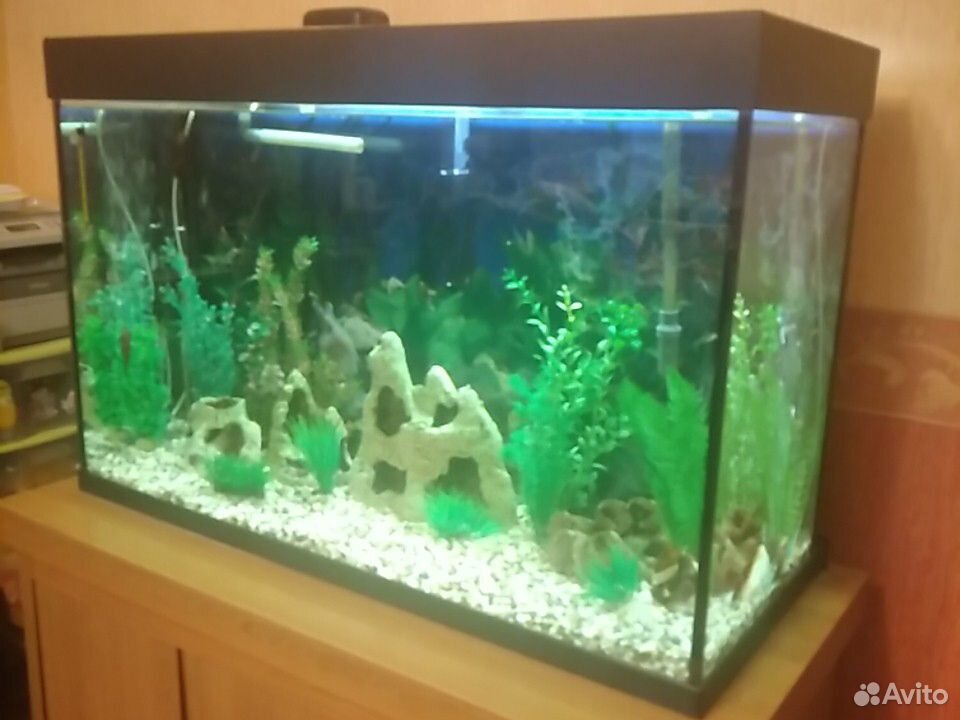 Аквариум