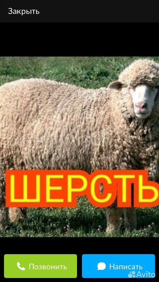 Шерсть меринос