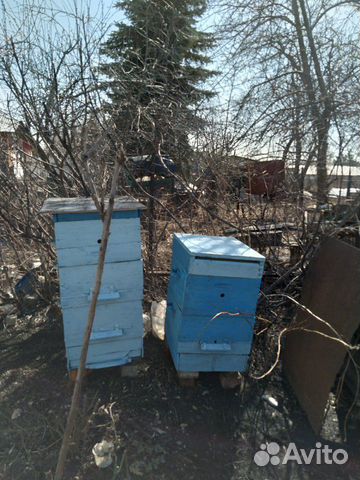 Для разведения пчел