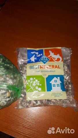 Аквариумистика