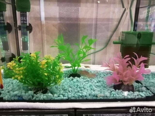 Аквариум
