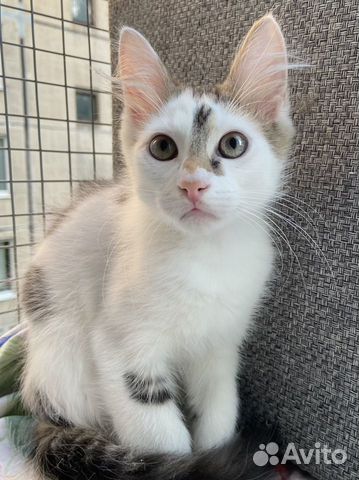 Малышу нужен дом