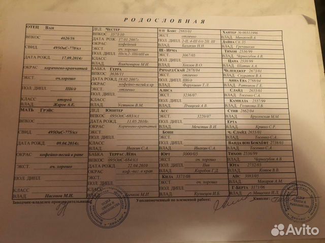 Измеритель сопротивления