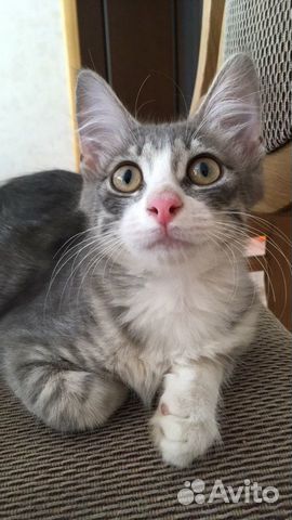 Серега ищет дом