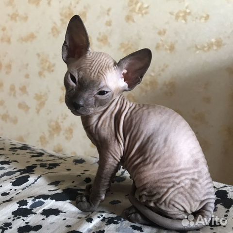 Неземная красота