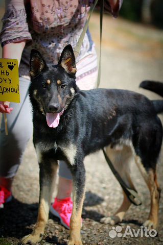 Гром в добрые руки