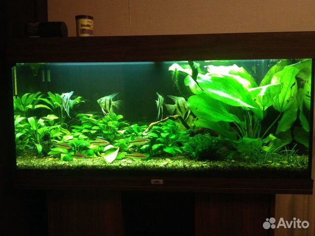 Аквариум с тумбой juwel rio 180