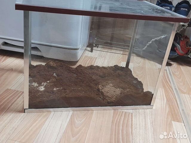 Террариум для черепахи