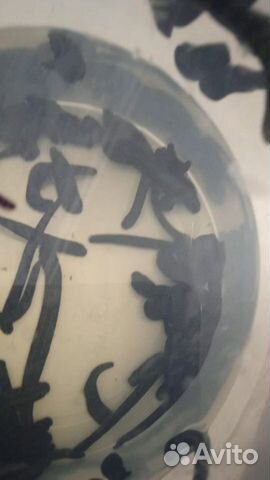 Пиявки медицинские