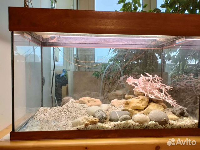 Аквариум Juwel б/у