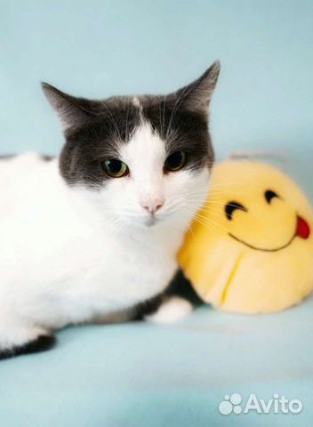 Ищу своего человека