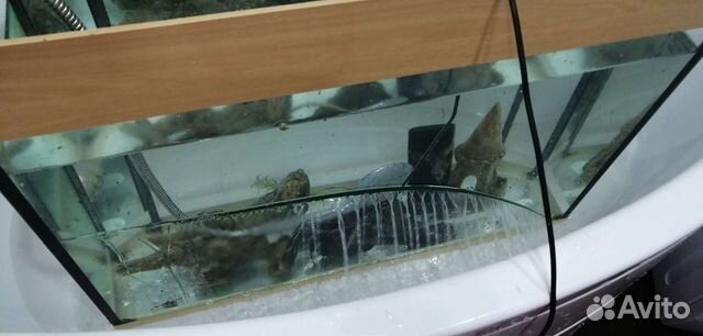 Отремонтируйте аквариум