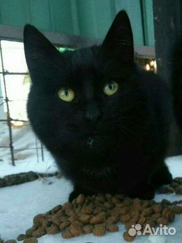 Мальчик 9 мес, доставка