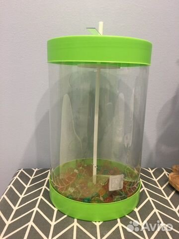 Бабочкарий