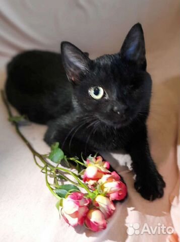 Особенная малышка в особенный дом