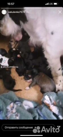 Малыши ждут ксвоих родителей