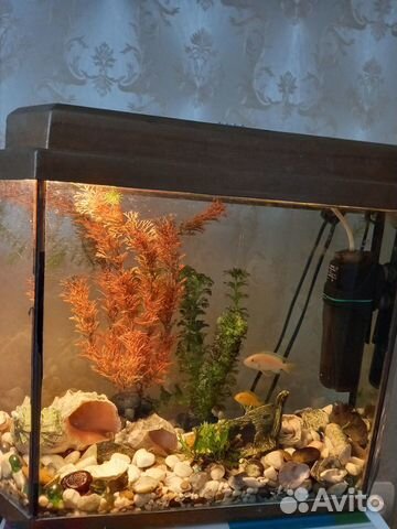 Аквариум