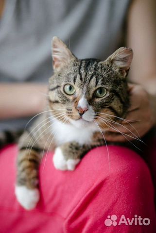 А кто это у нас такой красивый