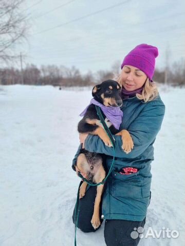 Маленький Пряник ищет дом