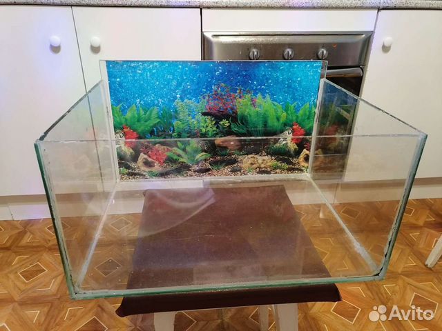 Аквариум