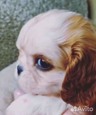 Кукольная миниатюрная кавалерочка