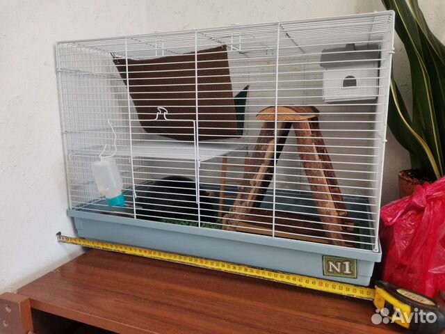 Крыса с клеткой