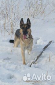 Кабель вео приглашает на вязку