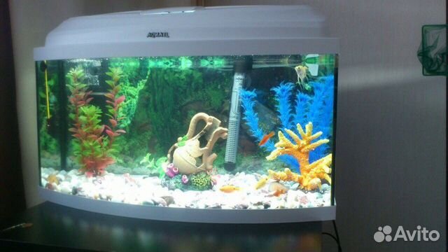 Продам аквариум Aquael панорама 60л