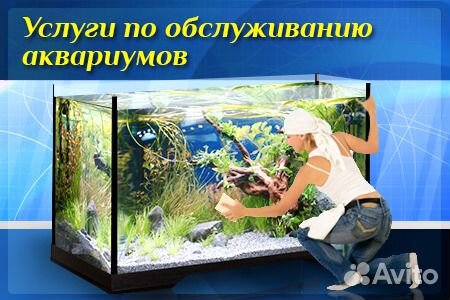 Обслуживание аквариумов