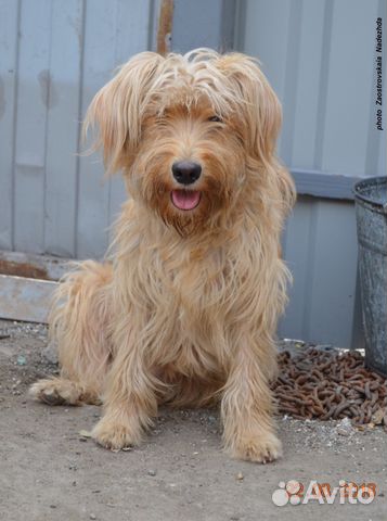 Марта хочет домой