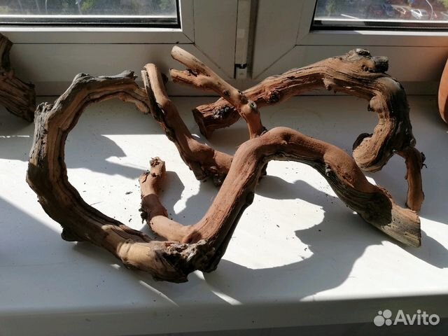 Коряги, грунт, камни