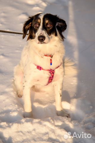 Марсель ищет дом