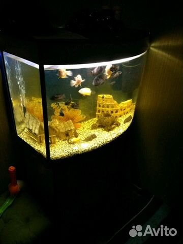 Аквариум с тумбой