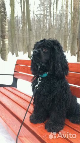 Ищем передержку