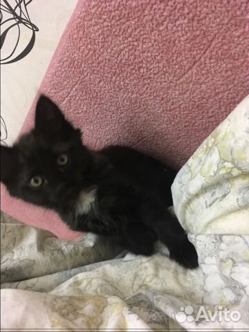 Чудесные малыши ищут любящую семью