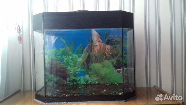 Продам аквариум
