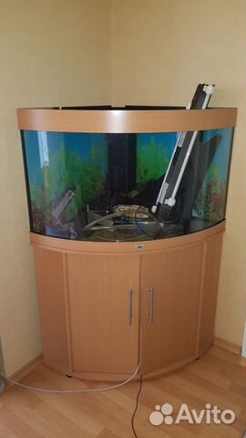 Аквариум Juwel Trigon (Германия)