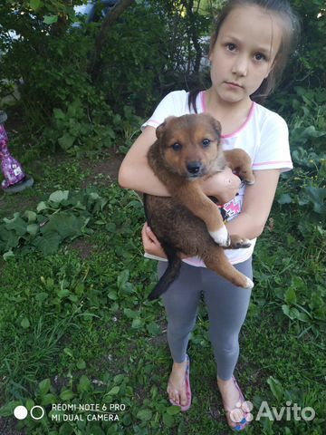 Маленькую Злату в дар