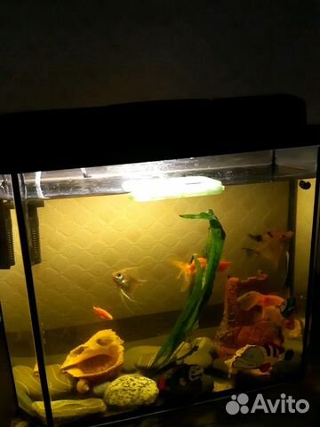 Аквариум
