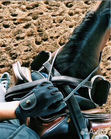 Лошадь на продажу