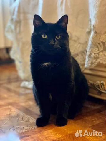 Герда в поисках дома